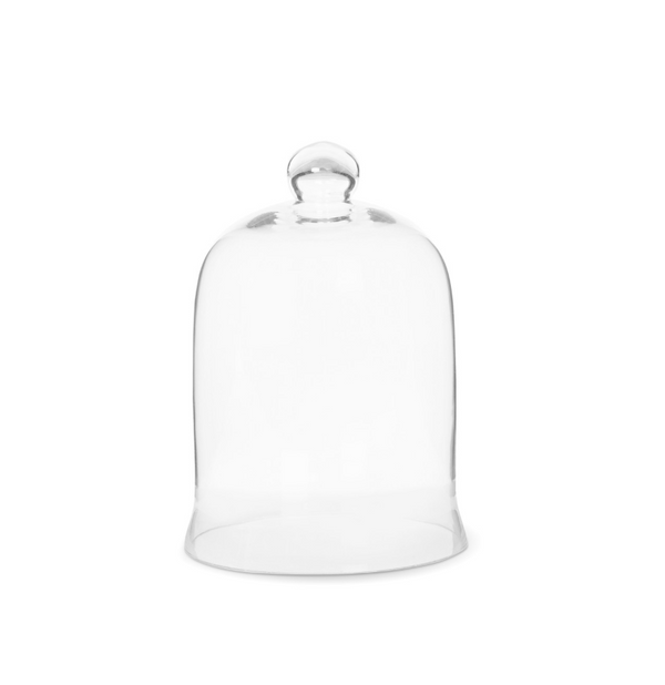 Glass Bell Jar, Various Sizes - Christmas Cheer All Year